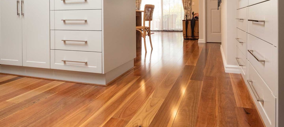 Understanding Spotted Gum Timber Prices in Perth: A Comprehensive Guide